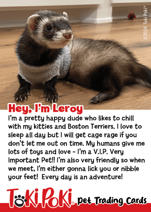 Toki Poki® Pet Trading Cards