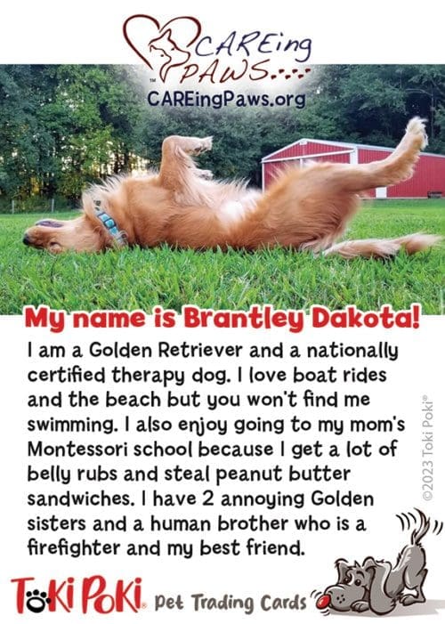 Toki Poki® Pet Trading Cards