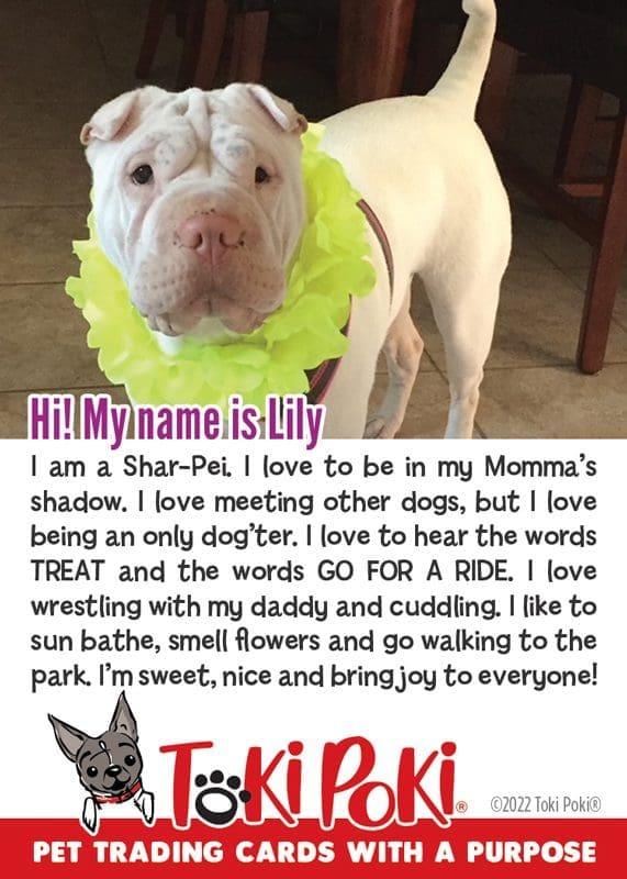 Toki Poki® Pet Trading Cards