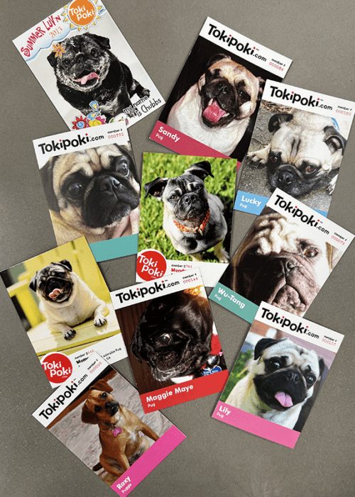 Toki Poki® Pet Trading Cards