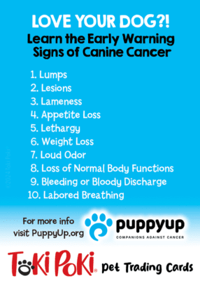 Toki Poki® Pet Trading Cards