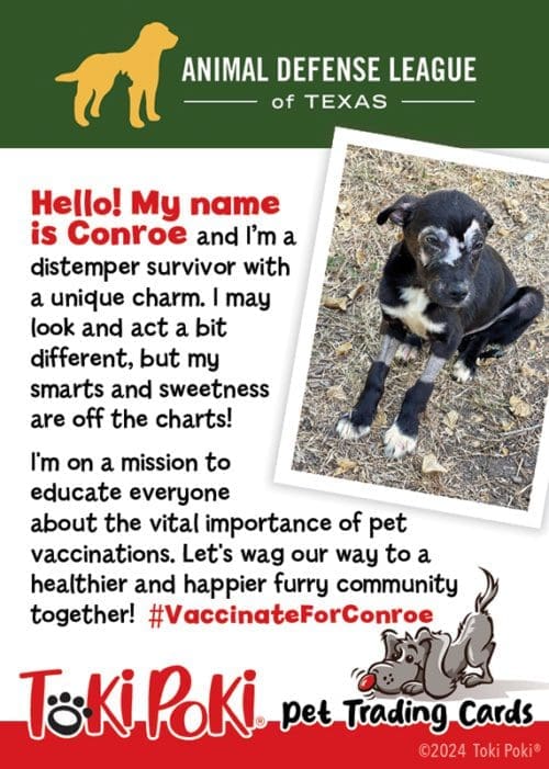 Toki Poki® Pet Trading Cards