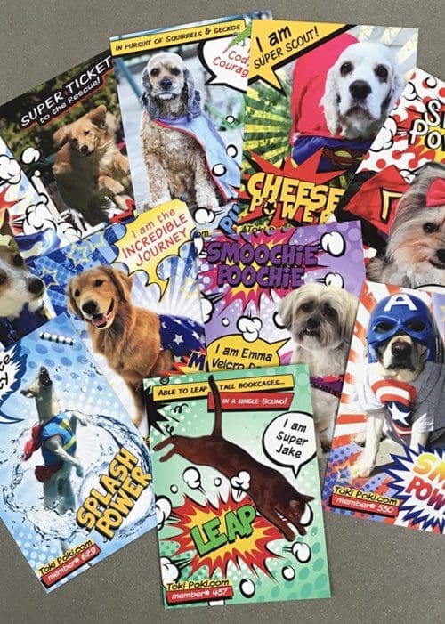 Toki Poki® Pet Trading Cards