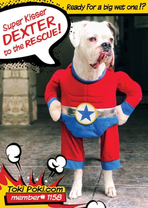 Toki Poki® Pet Trading Cards