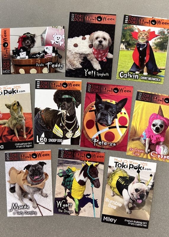 Howl-O-Ween Pet Trading Cards 10-Pack - Toki Poki